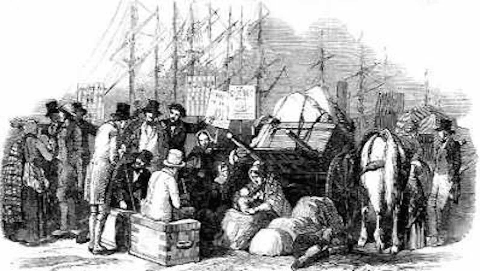 Olive Tree Genealogy Blog: Ads for Irish Immigrants in Boston Pilot