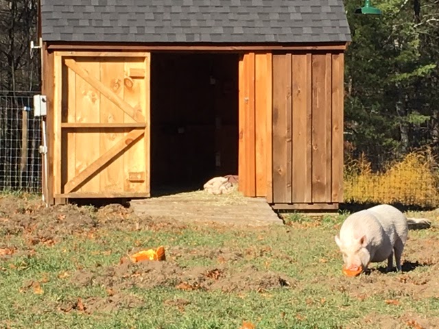 Dispatch from the Digital Health Frontier: Unity Farm Journal - Third ...