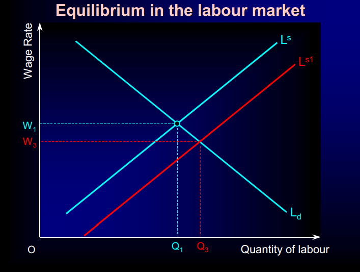 Economics A Levels: LABOUR MARKETS