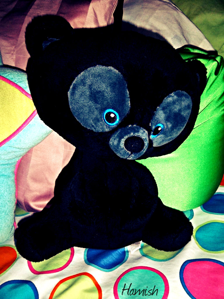 Celtic Woman: Hamish