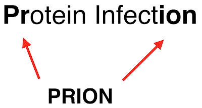 Biology Behind: Prion Disease (Natures Doomsday Disease) - Science in ...