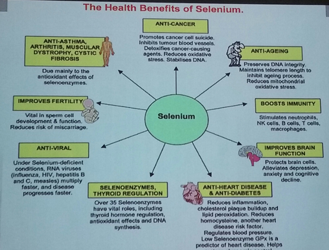 VIVA JOY HEALTH: Potent health protector - SELENIUM