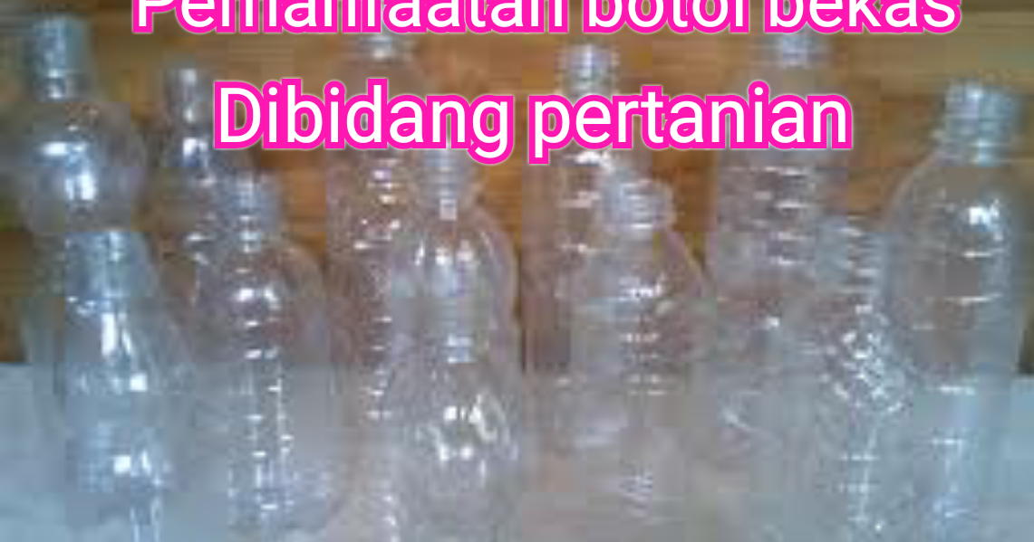21+ Inspirasi Baru Pemanfaatan Botol Bekas Untuk Media Tanam