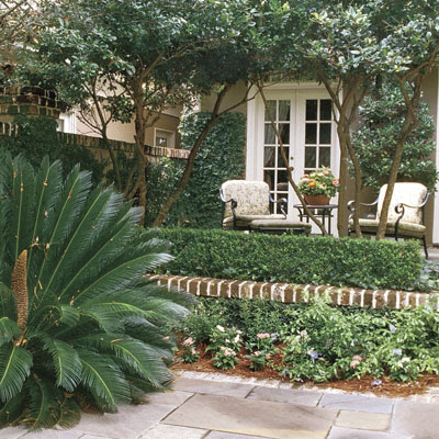 a curious gardener: southern courtyard gardens