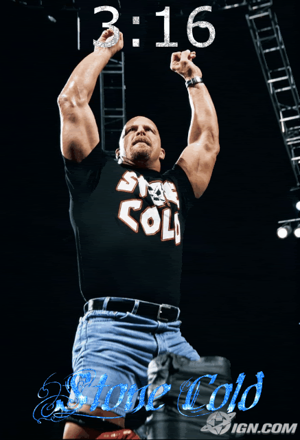 WORLD WRESTLING ENTERTAINMENT: American Professional Wrestler