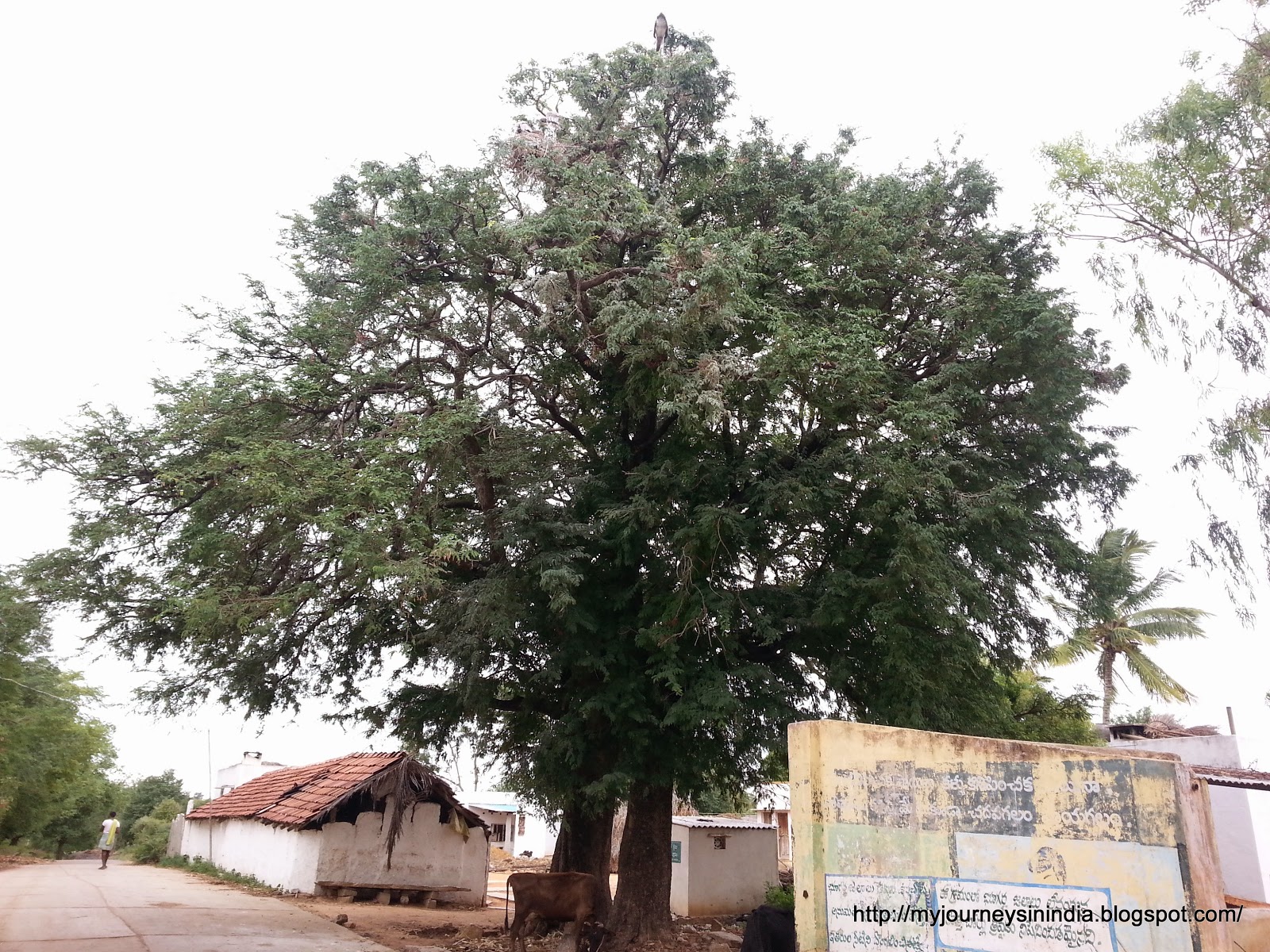 My Journeys In India: Lepakshi Veerapuram and Rangasthala