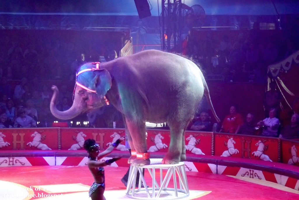 Big E 2016 - Circus Spectacular | The Track of Time