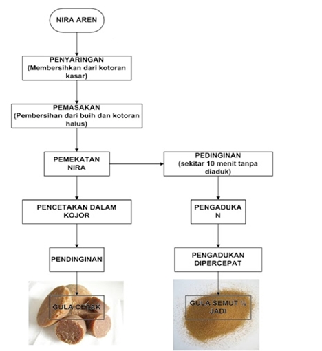 Analisis Potensi Gula Aren dan Proses Pengolahannya | Bahasa Senja