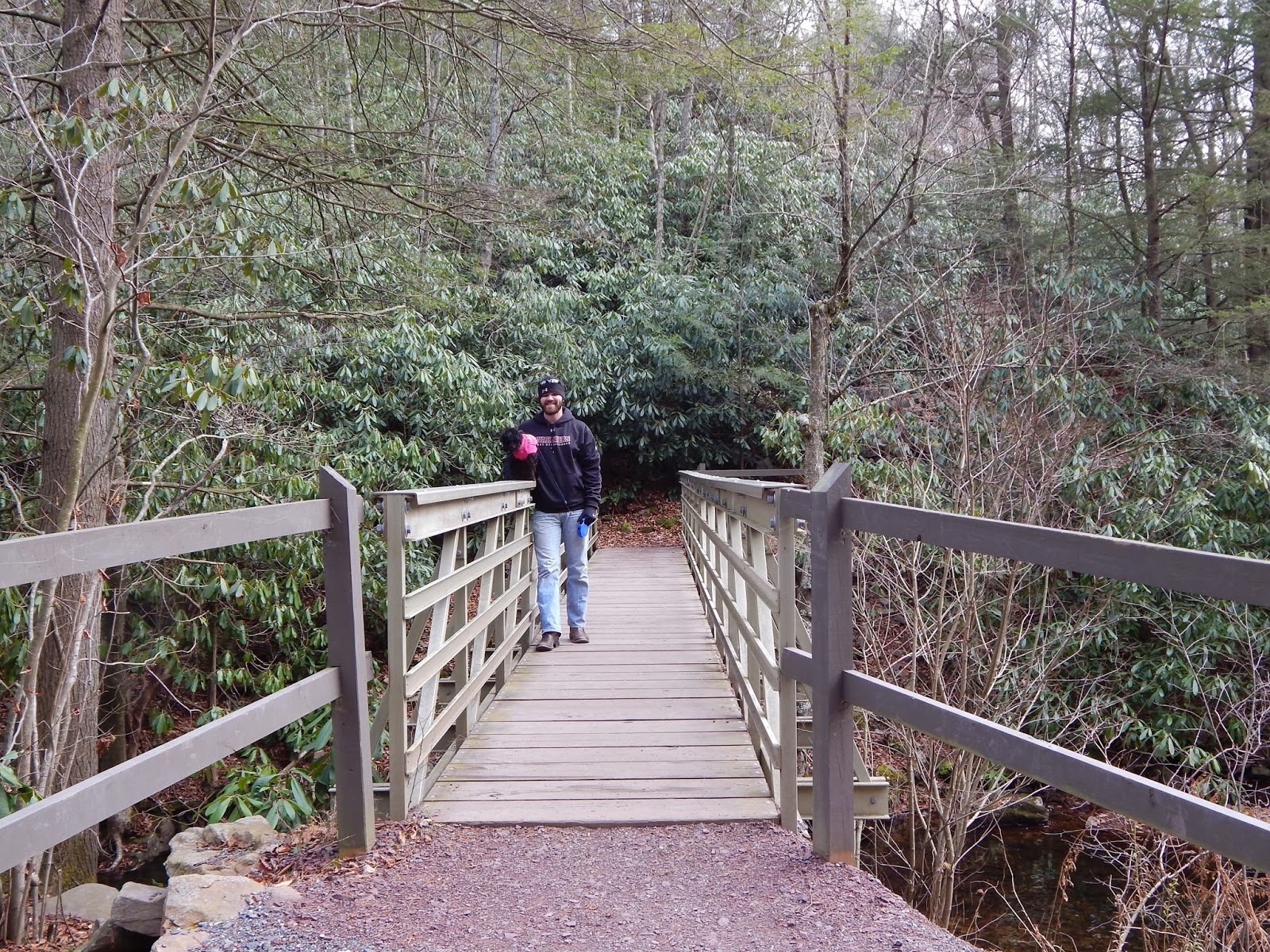 Those Who Wander: Hawk Falls Trail