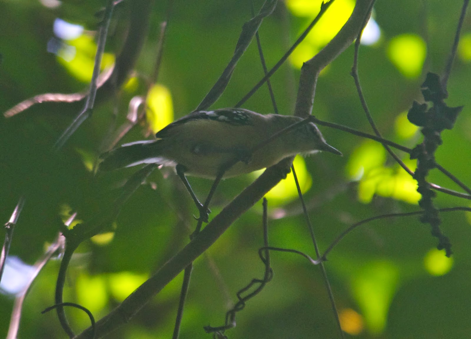 Jan Axel's Blog: September 2014