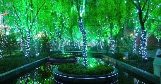 Awesome World: Magic Forest in Shanghai - China