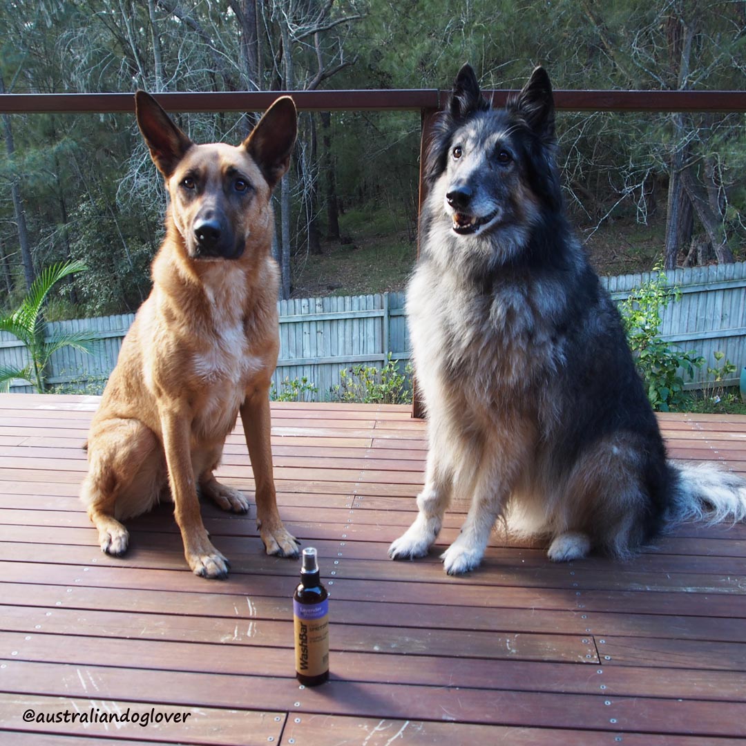 WashBar NZ - Daily Spritzers for Dogs | Australian Dog Lover