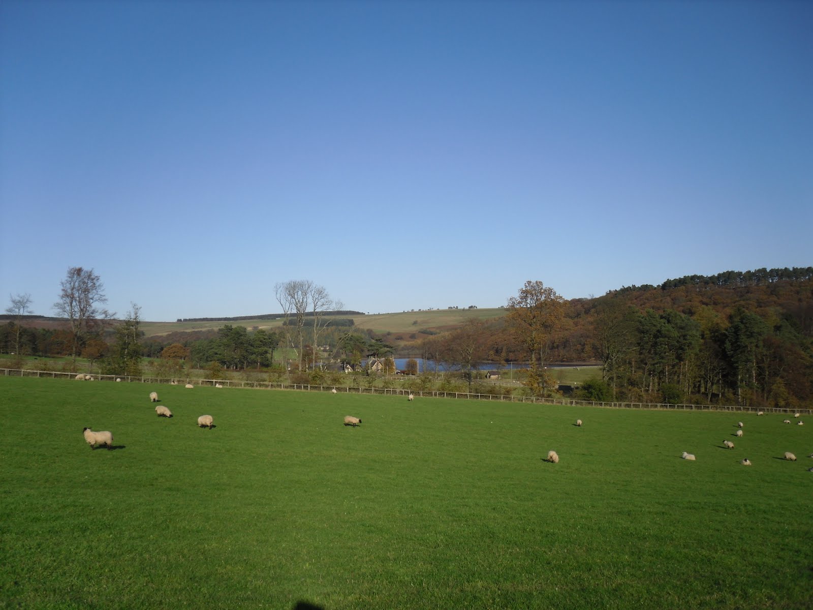 Rambling Nana: Wolsingham, Tunstall Reservoir Circular