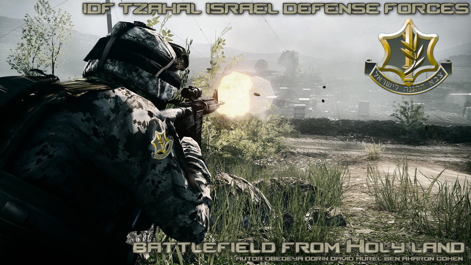 Israel Defense Forces,logo,badges and wallpaper 3D-HD: IDF digital wallaper