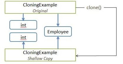Code-Searching: Shallow Copy vs. Deep Copy
