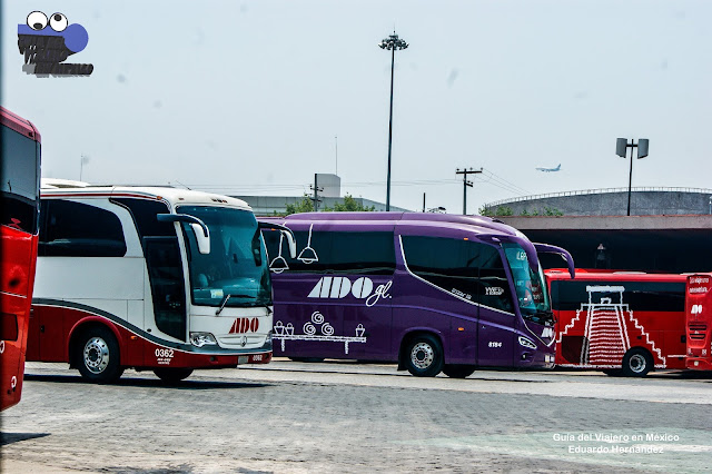 ADO festeja a los niños en TAPO