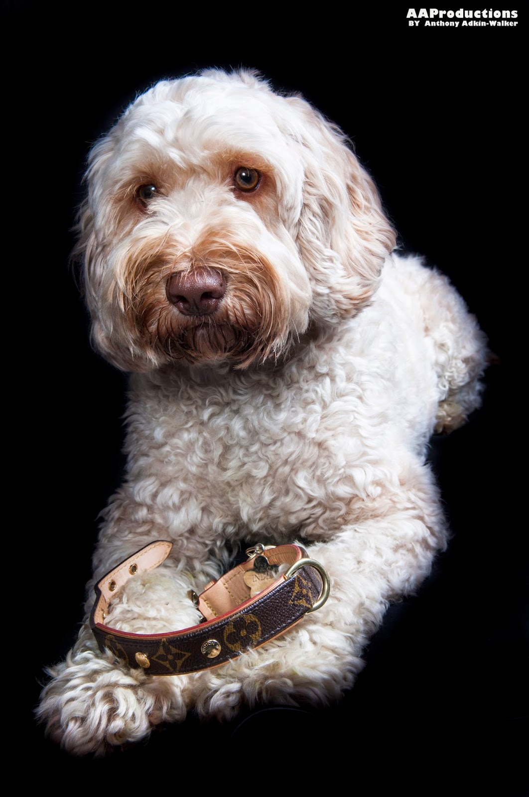 Jukee Doodles : Testimonials