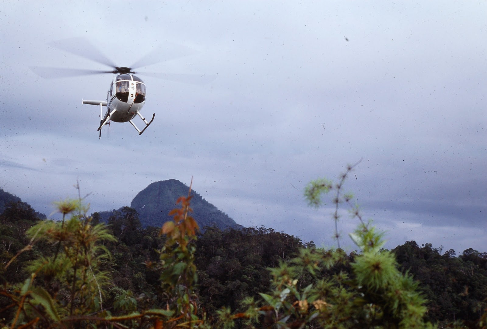 I Brake for Wildflowers!: Papua New Guinea 5. To the Frieda River