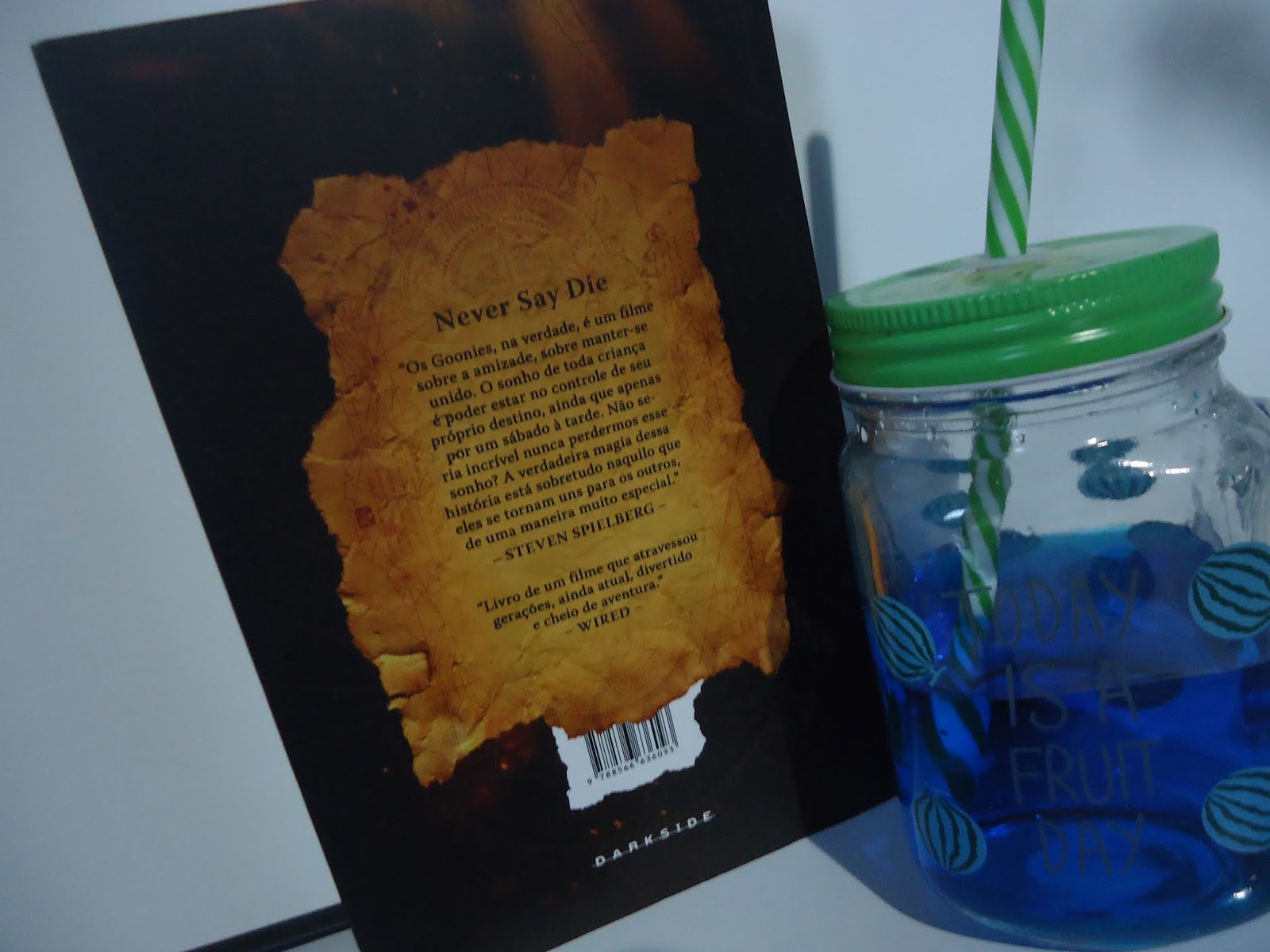 [LIVRO] Os Goonies, James Kahn - Tudo que motiva