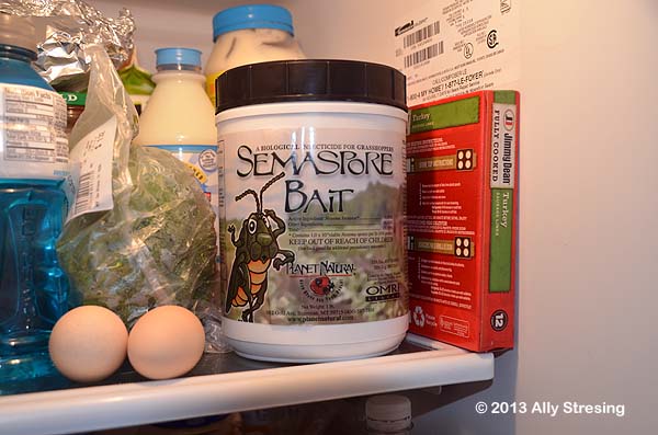 Garden Ally: The Hopper Blues