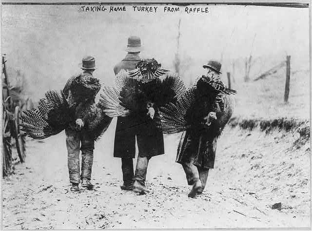 Nutfield Genealogy: Thanksgiving Turkeys