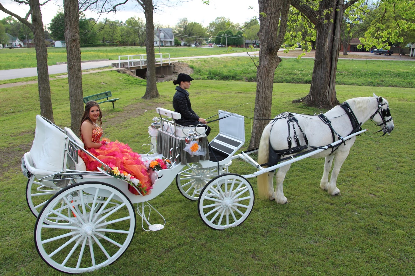 The Princess's Carriage