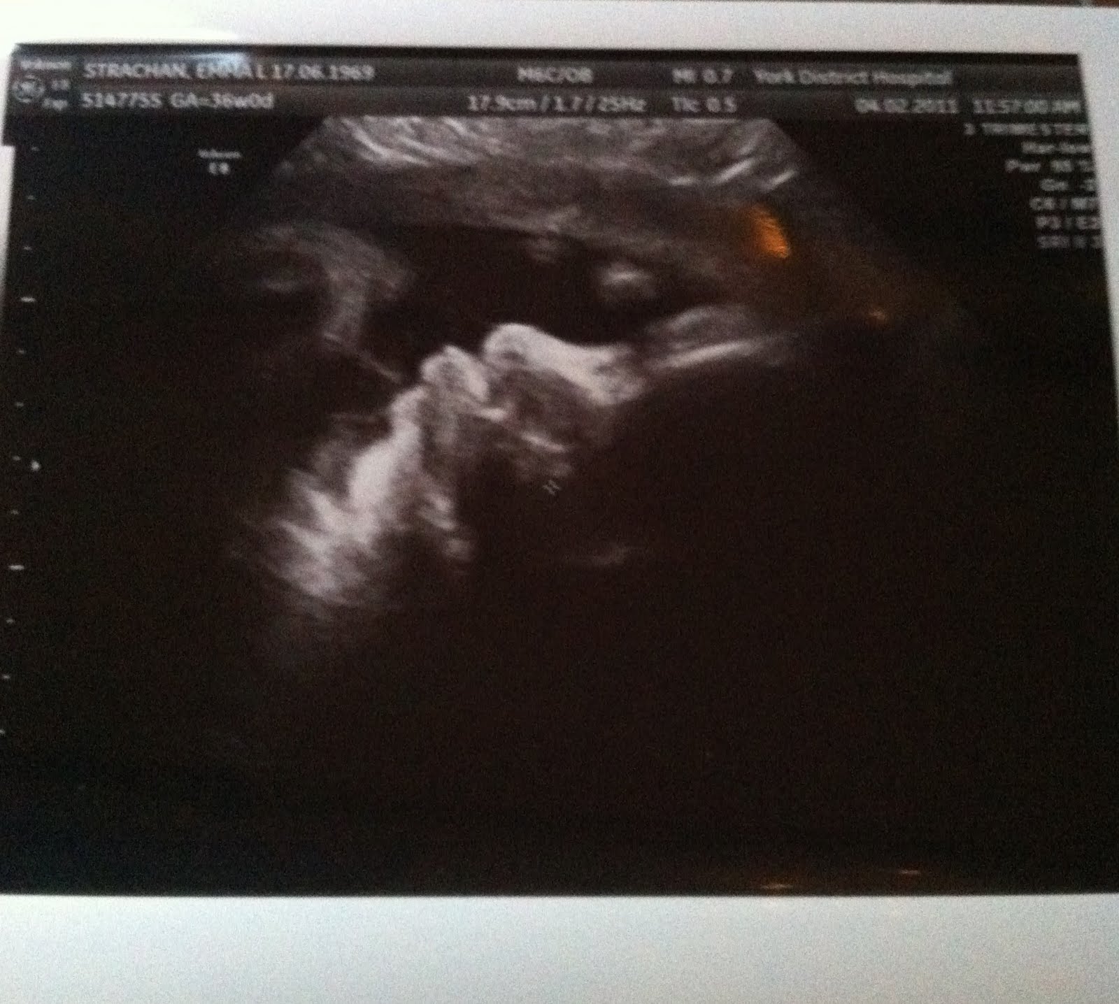 The Baby Making Files