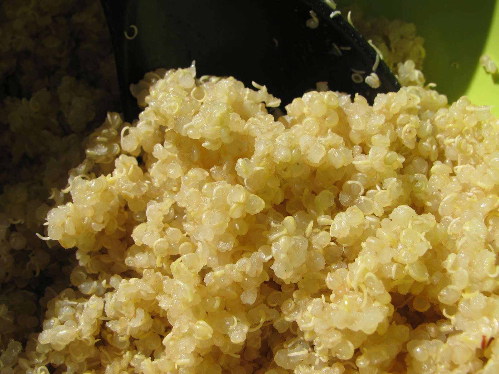 2 Hungry Travelers: Keen-wa? Quinoa! Make it a salad...