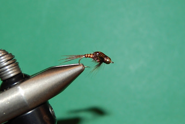 The APB Nymph | Washington Fly Fishing Forum