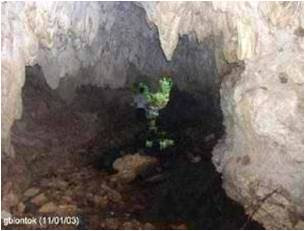 Explore the Small Town of Calauag, Quezon Province: Natural Heritage of ...