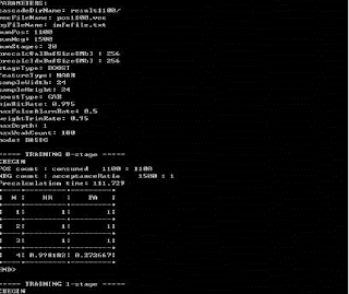 Technical: Traning Haar cascaded classifier with OpenCv
