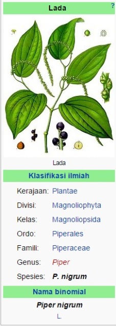 Ilmu Pertanian: Piper Albi Linn