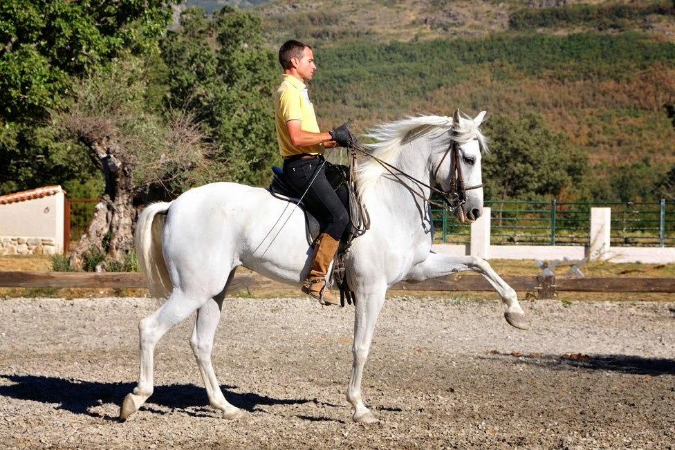 Historias de un jinete