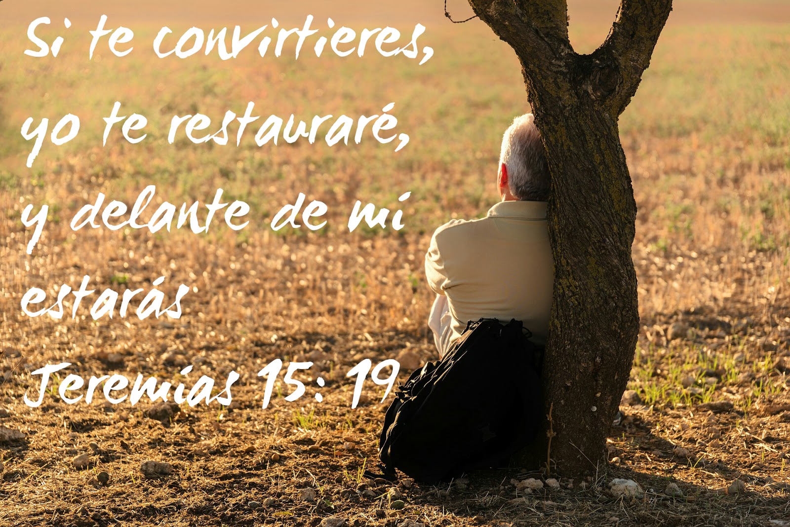 Textos y Sermones Biblicos: La verdadera conversión