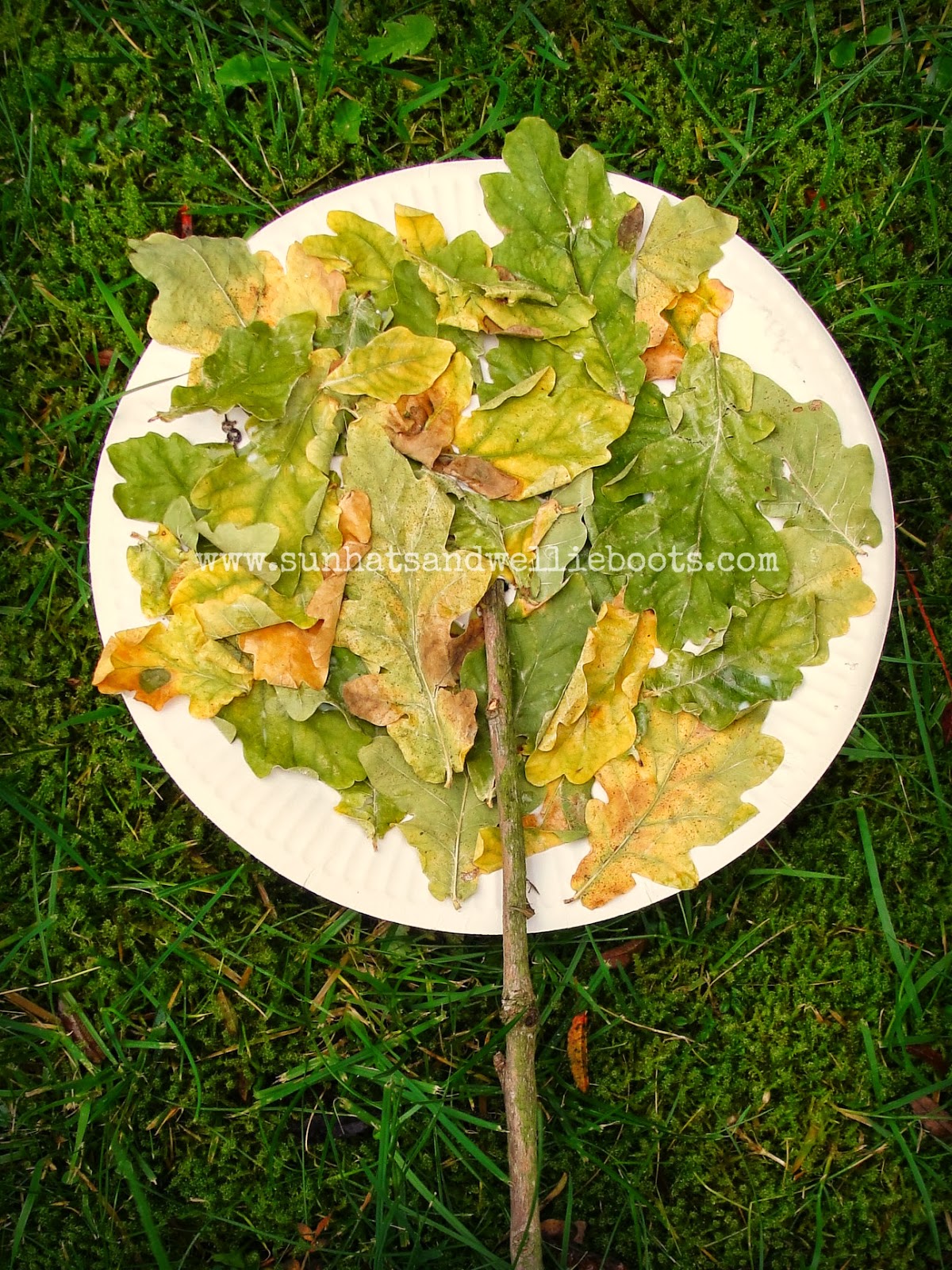 Sun Hats & Wellie Boots: Autumn Stick Trees made with Paper Plates