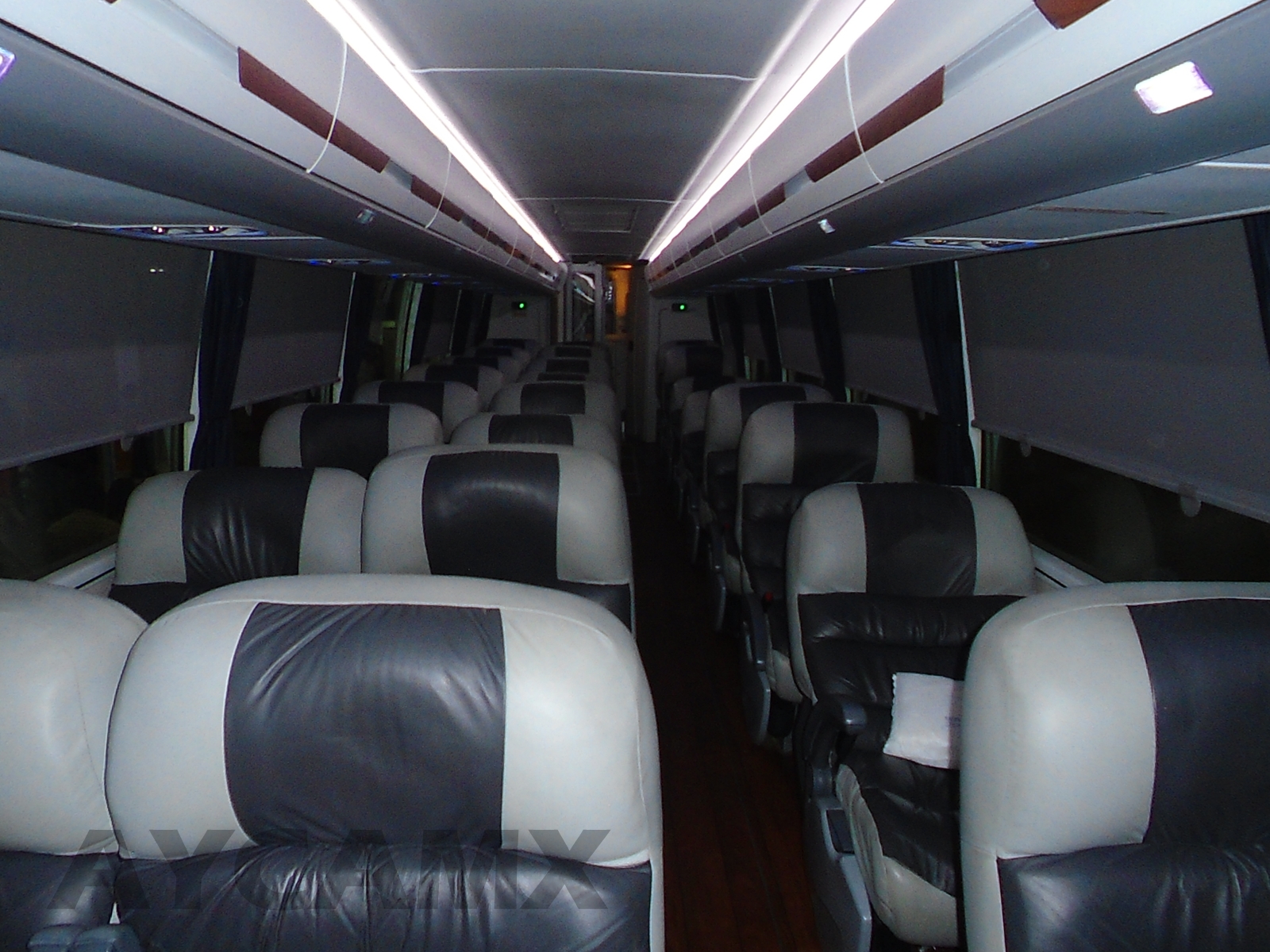 AYCAMX - Autobuses y Camiones México : Autobuses Foráneos 313. Turistar ...