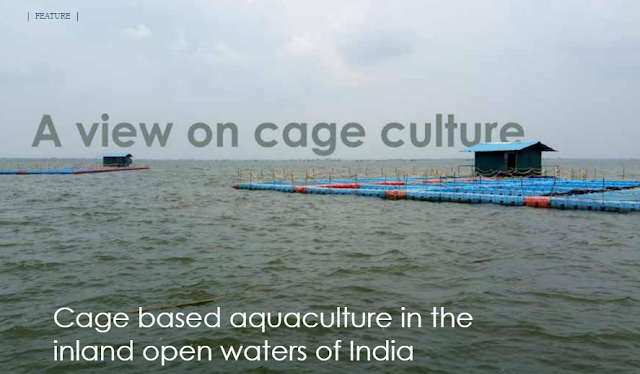 The Aquaculturists: A view on cage culture in inland open waters in India