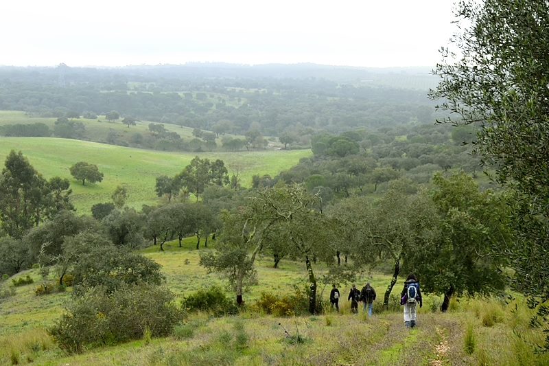 O melhor Alentejo do Mundo: Sitio de Cabrela (Montemor-o-Novo)