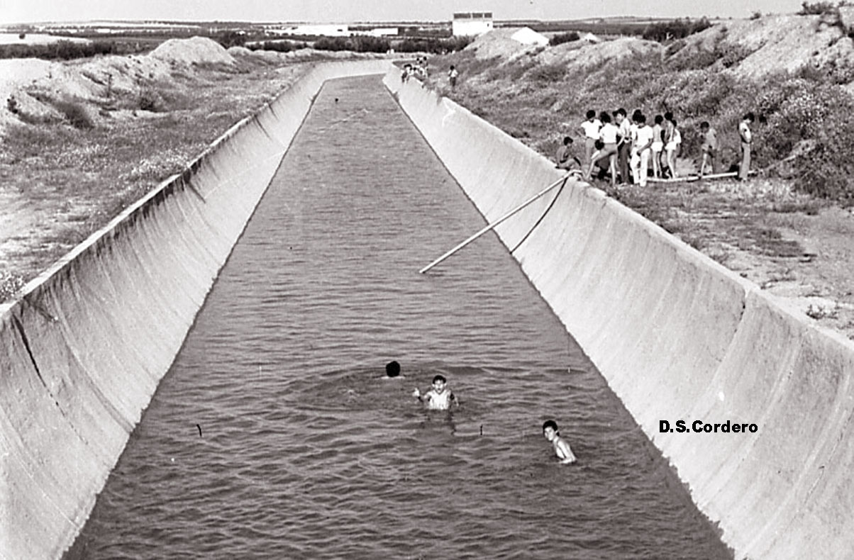 CACHOS DE VIDA: BAÑARSE EN EL CANAL
