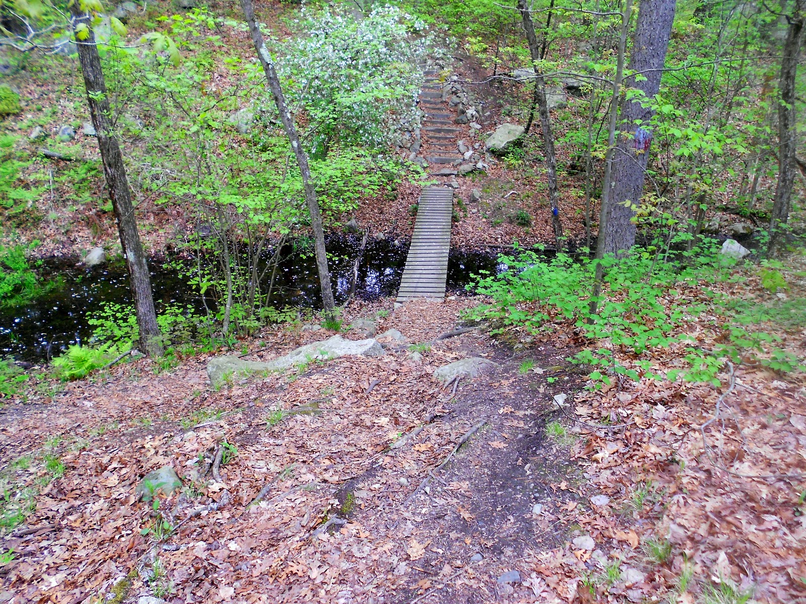 Breakheart Trail Running: Cross Fells Trail Trek