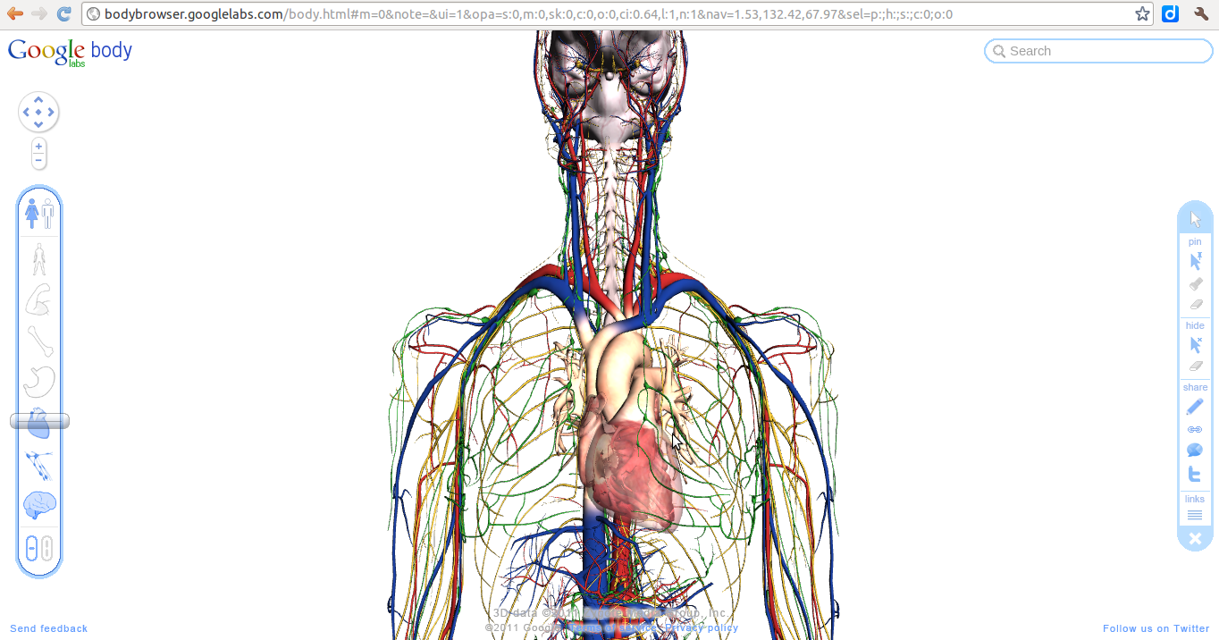 Belajar anatomi tubuh dan organ lainya dengan Google Body dari Google ...