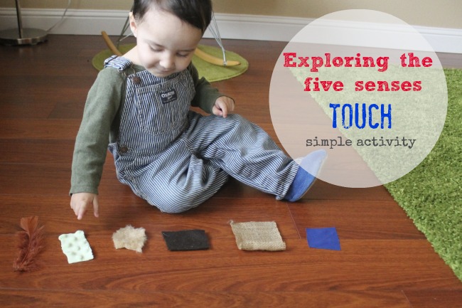 cute and peculiar: Exploring the five sense - Touch