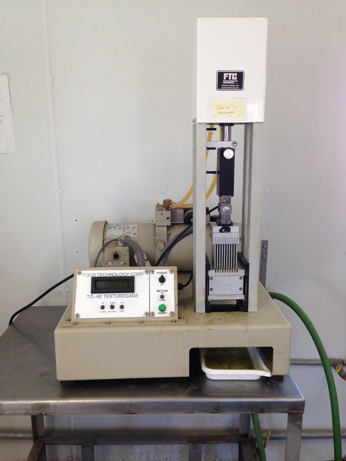 WALLA WALLA DAILY PHOTO As Seen By Susan: PEAS ON EARTH--The Next Step