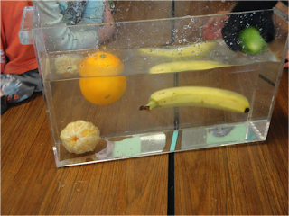 CC Afterschool: Science of Density