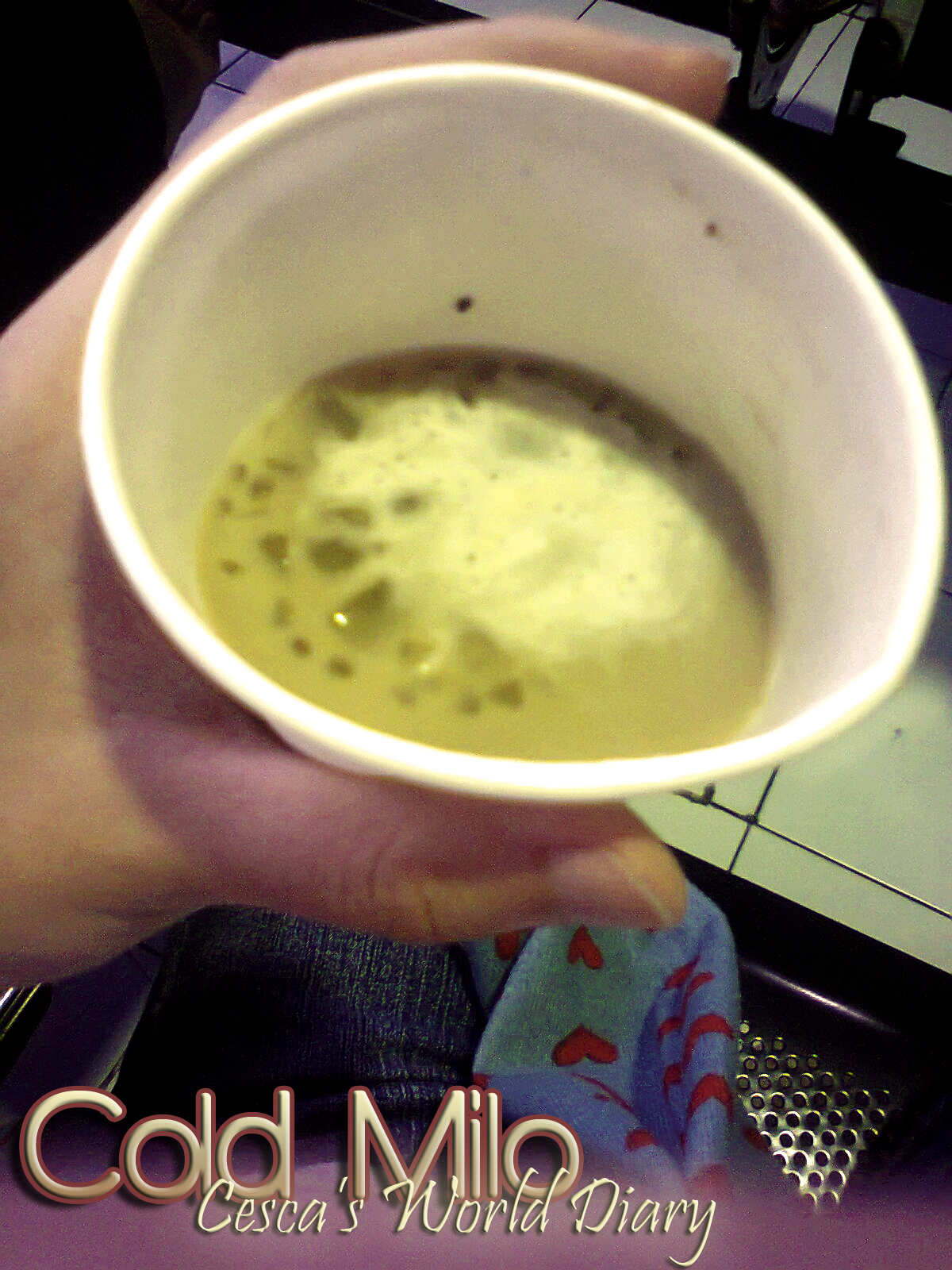 Cesca's World Diary
