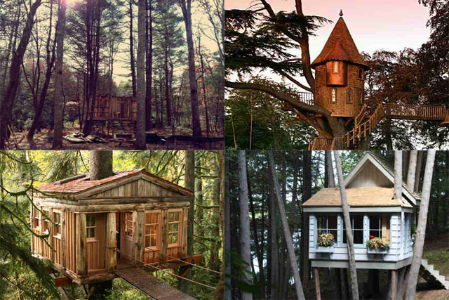 Living Up, Amazing Tiny Tree Houses