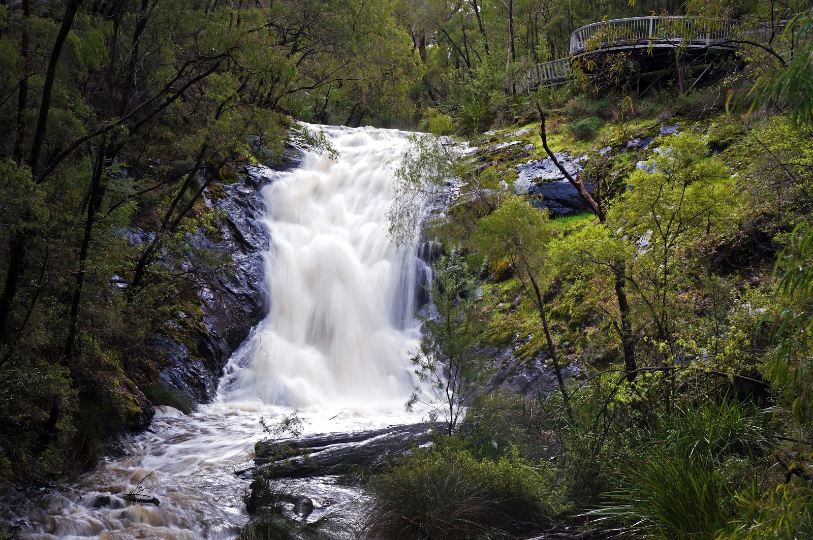 Bibbulmun Track (WA) - Beavis to Beedelup ~ The Long Way's Better