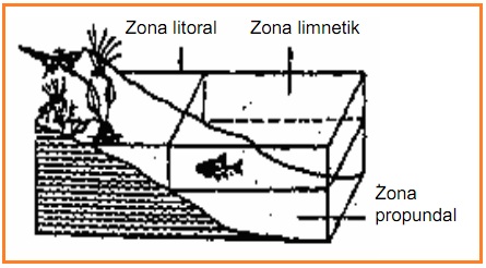 BIOLOGI GONZAGA: UJIAN ECOLOGY