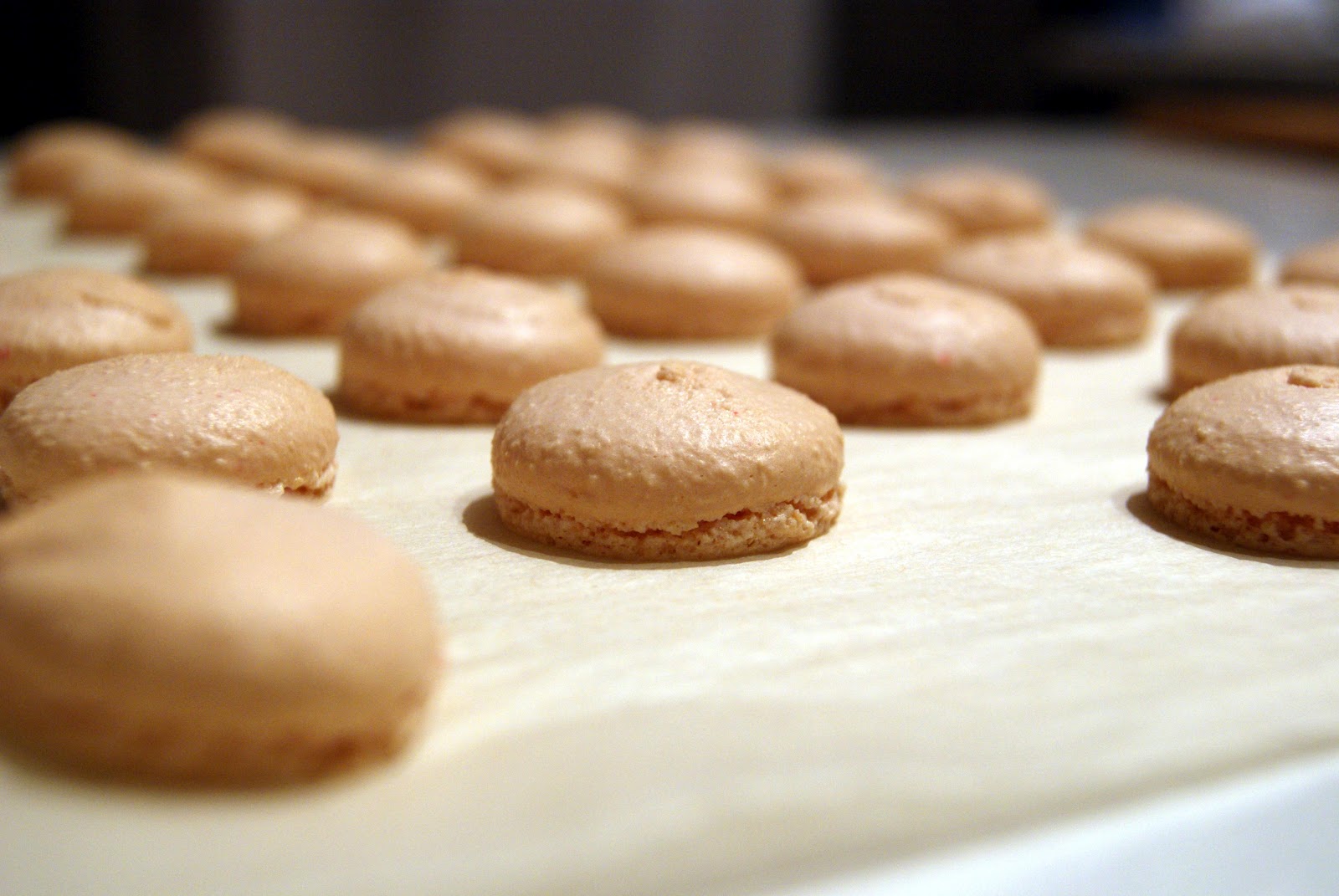 little miss sweetie: Ispahan Macaron - Macarons with lychee, rose and ...