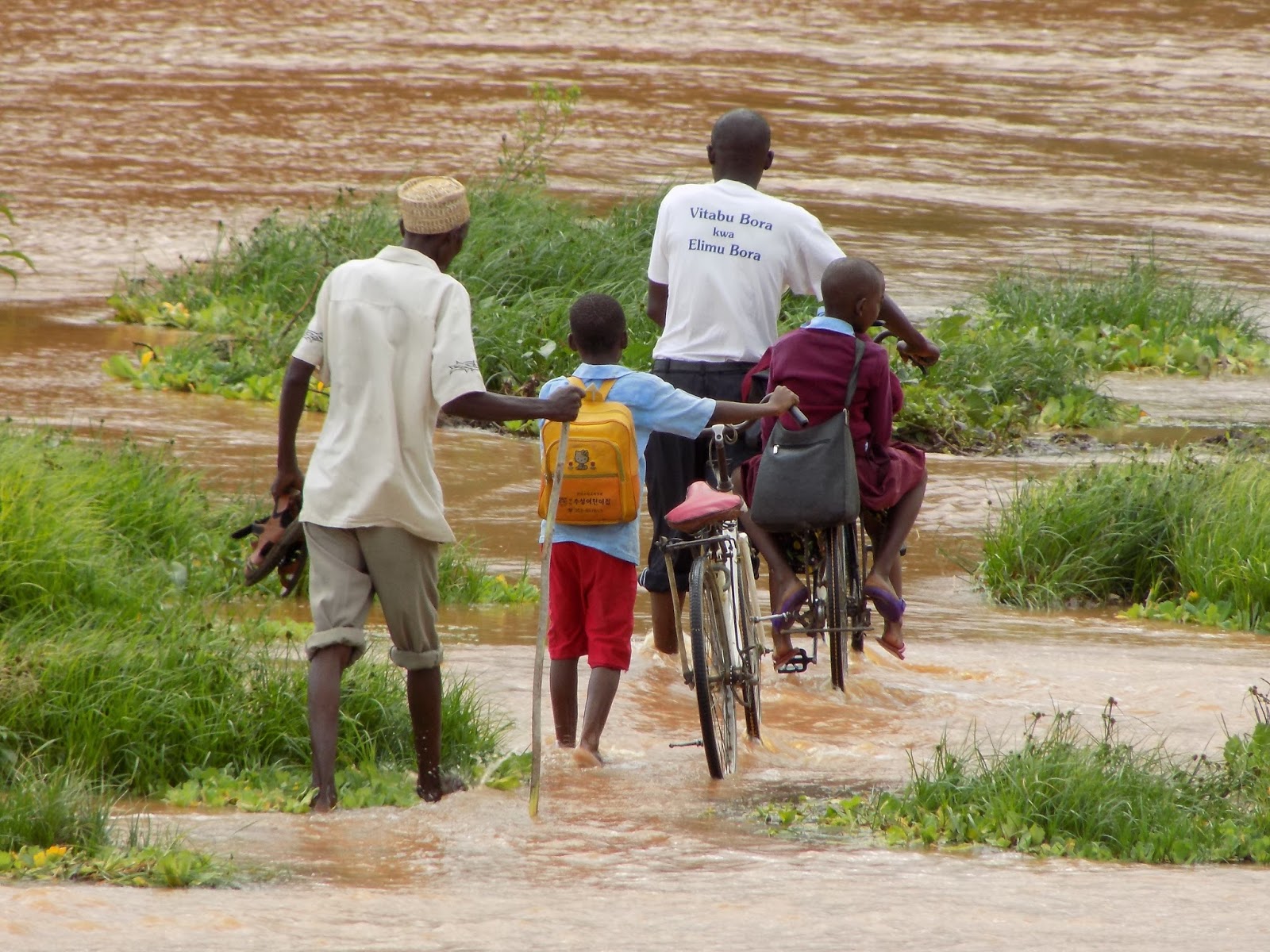 TANGA KUMEKUCHA: SAMAKI MKUNGA